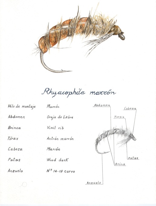 Artificial flies for fishing drawings and paintings: NYMPHS
