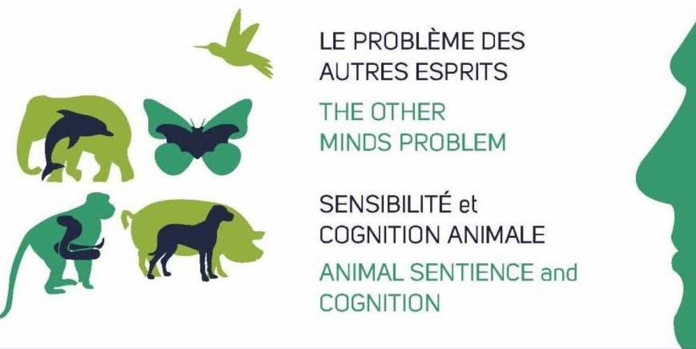 The Other-Minds Problem: Animal Sentience and Cognition: 2018