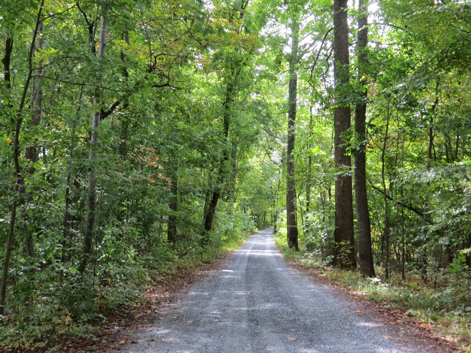 Where's Liz? 2014: Poplar Forest, Thomas Jefferson's Secret Retreat