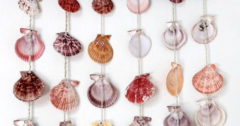 Sea Shell Wall Hanging Ideas