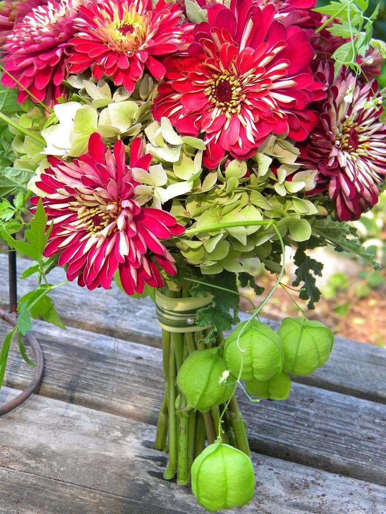 Wedding Flowers from Springwell: Summer Bouquet- Red Zinnias from the ...