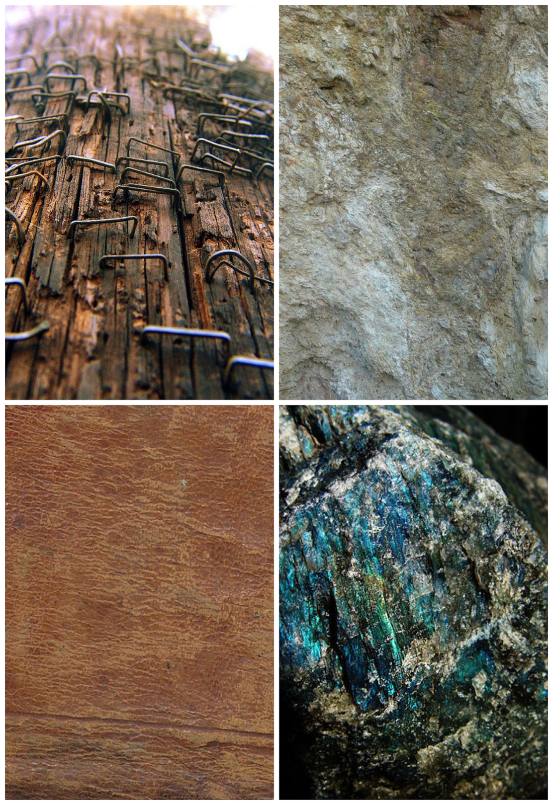 Spring to Fall: Friday's Fabulous Photos - Rough Textures