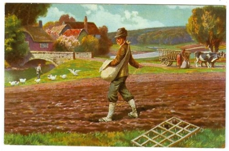 BaHofA - bauernhofarchiv & PorTT - portal/tür/tor: Säender Bauer