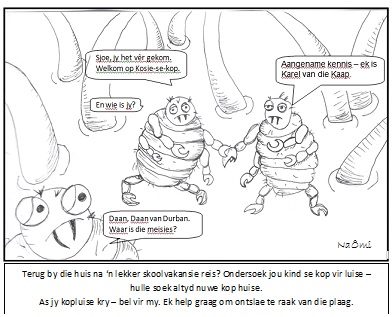 Itchy Monkeez - Kopluis kenners - Pretoria Oos: 2015