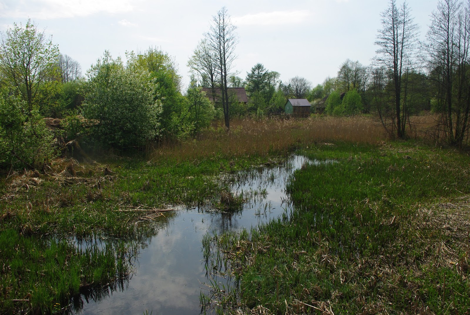 Spod Psiej Górki - moje podróże, ciekawe wydarzenia i nie tylko to ...