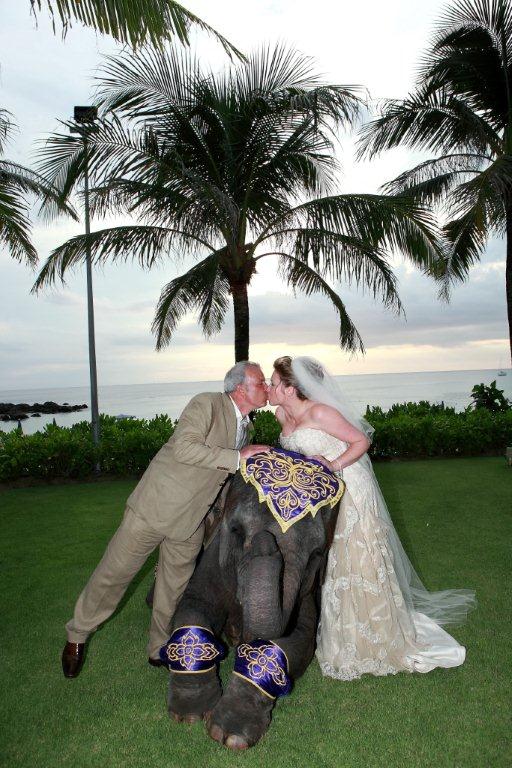 Debbie Cowlard In Maggie Sottero Gatsby - Miss Bush Blog