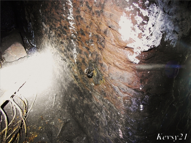 My Liverpool Urban Site: Woolton Quarry Tunnel