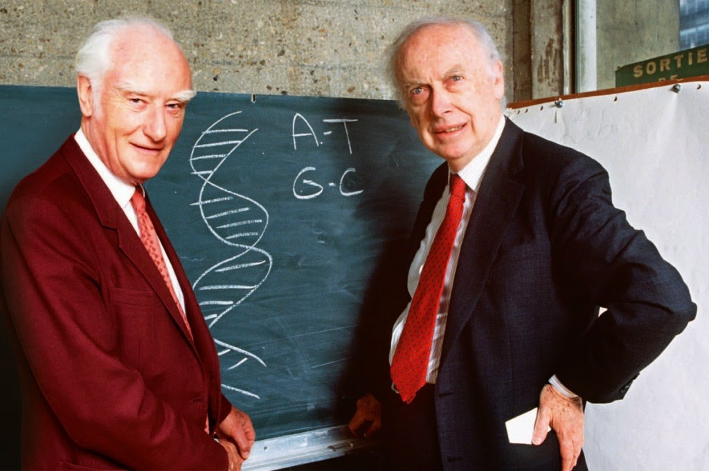 Realidad dimensional 2014: ¿Sabías que Watson y Crick descubrieron que ...
