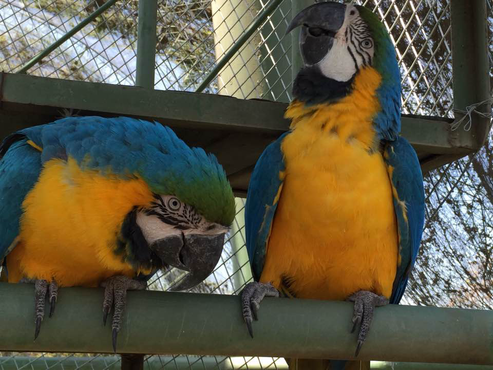 365 Days in Bolivia: February 8, 2017 - Mariposario Guembe