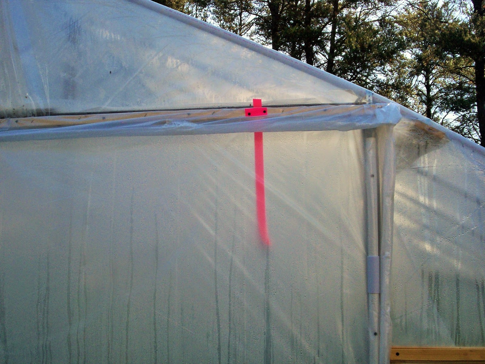Karens Krafty Kottage: DIY hoop house