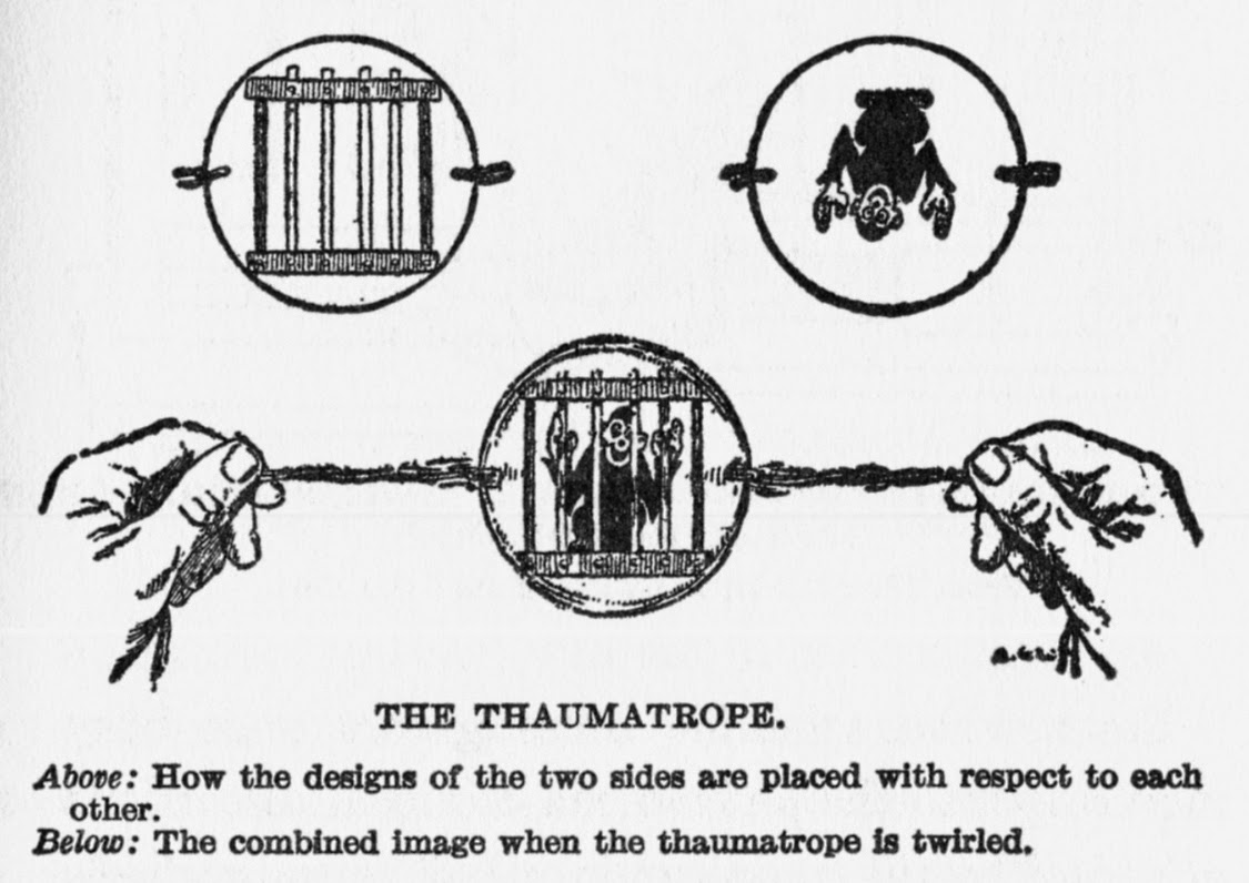 Obrolan Animasi: Thaumatrope