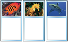 Ocean Animals Matching Game Montessori Coral Reef Helpful Garden Work ...