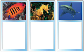 The Helpful Garden: Montessori Ocean Animals Matching Game