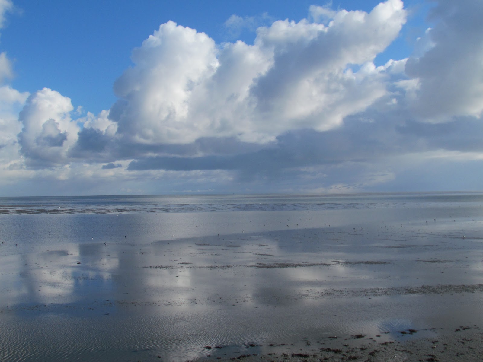 joke elzinga: Waddenzee