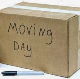 Building a Ginger Paradise: 10 Tips to Ease Your Moving Day