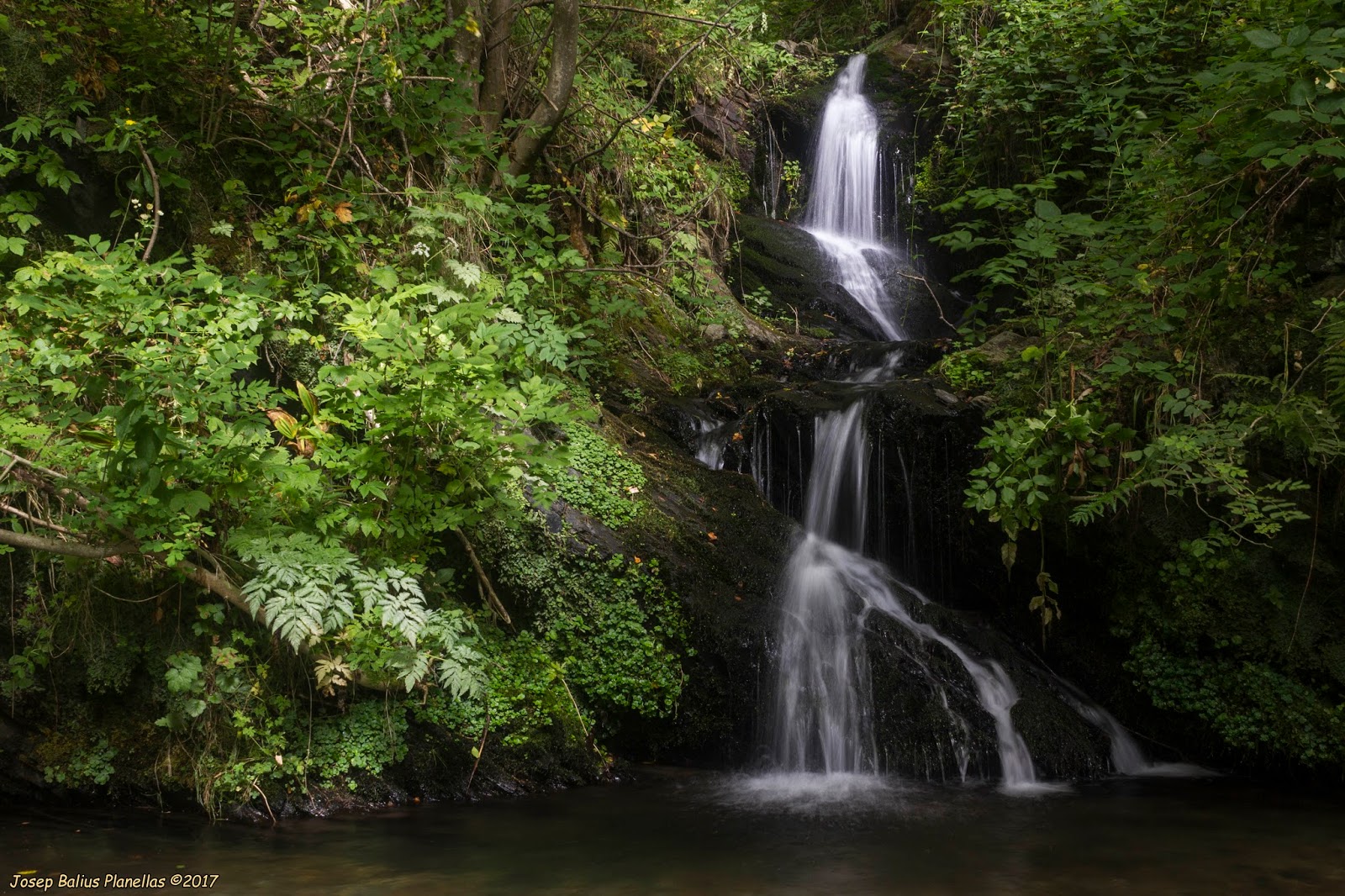 Racons de Catalunya: Salt del torrent de Pastuira (Setcases)