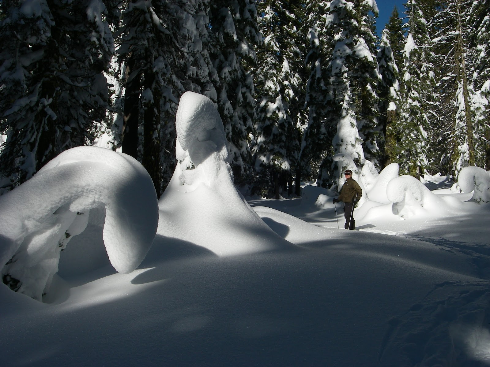 Veggie Voyagers: Magical Snow Creatures