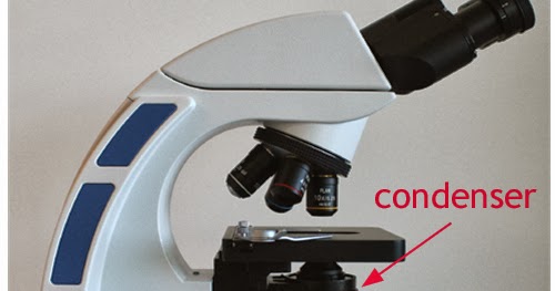 Microscope World Blog: Centering the Microscope Substage Condenser