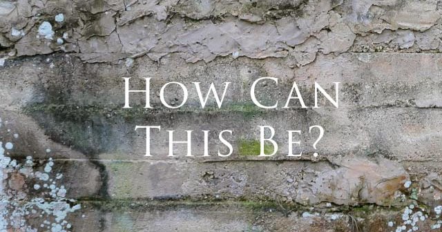 The Joy of Homemaking: How Can This Be?