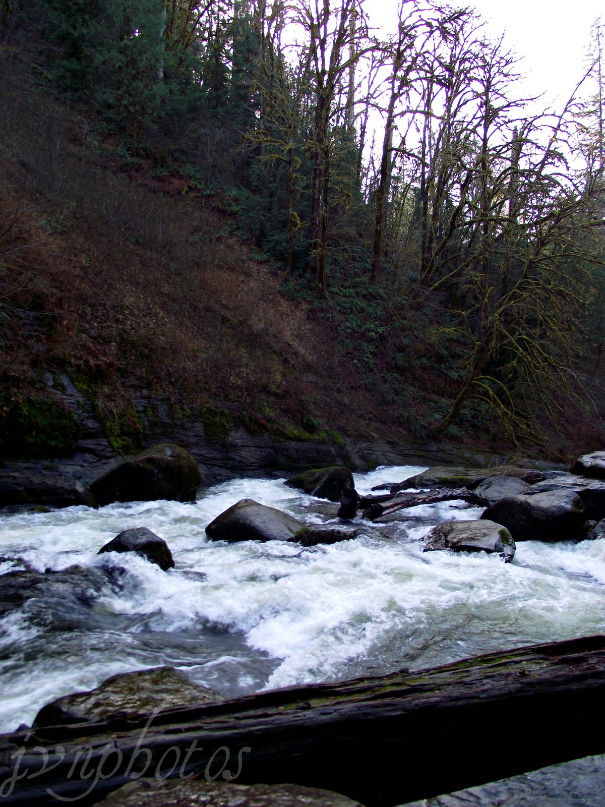 Photos by Jan: Triangle Lake, Oregon and Further Adventures