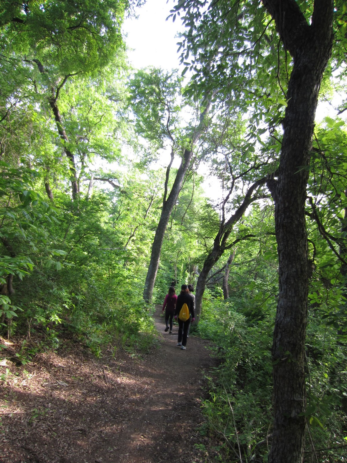 Walking Plano: 走ALLEN的路，在Plano花钱- Waters branch trail
