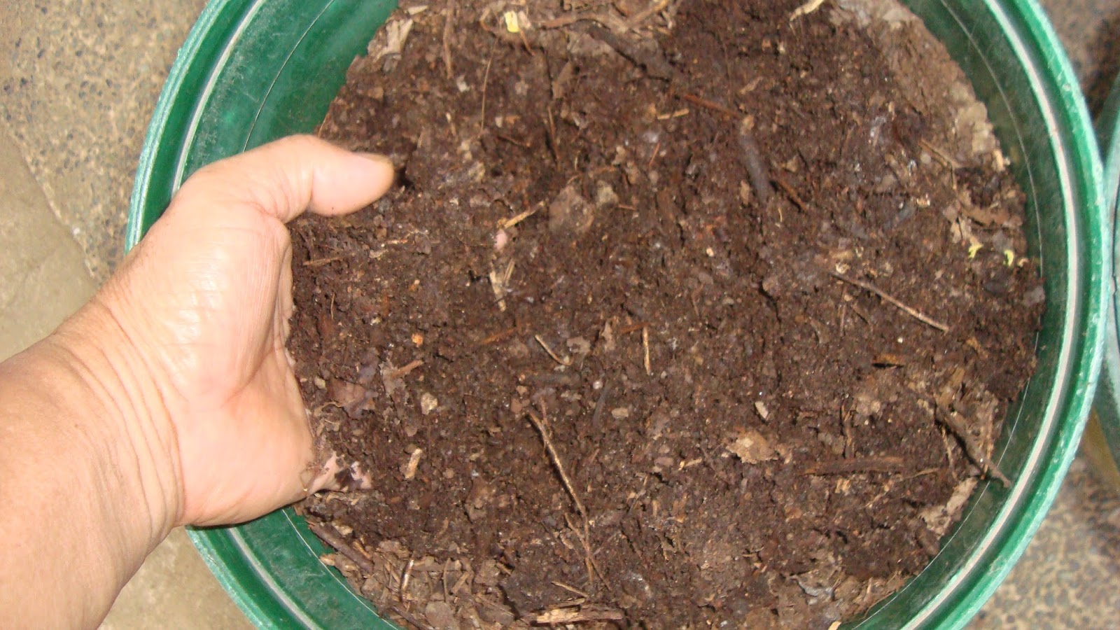 Naturalism - the Eighth Sense: Composting is an ancient practice ...