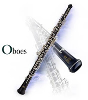 oboesommerso: DIDATTICA OBOE