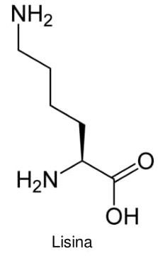 (SLMandic) Examine a fórmula estrutural do aminoácido lisina - INDAGAÇÃO