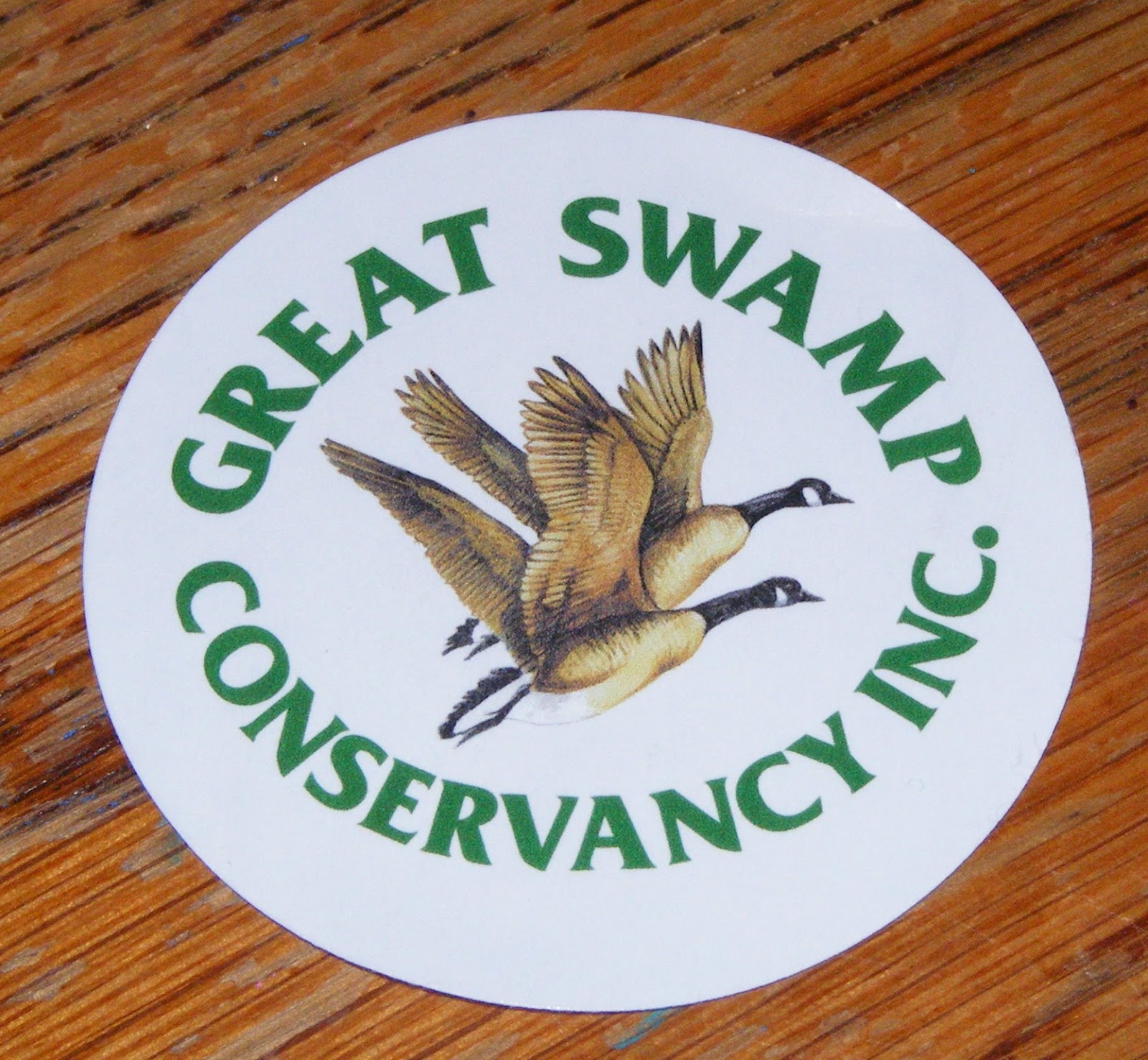 Ten kids and a Dog: A Fun Fall Festival