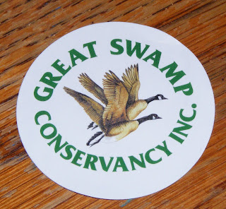 Ten kids and a Dog: A Fun Fall Festival