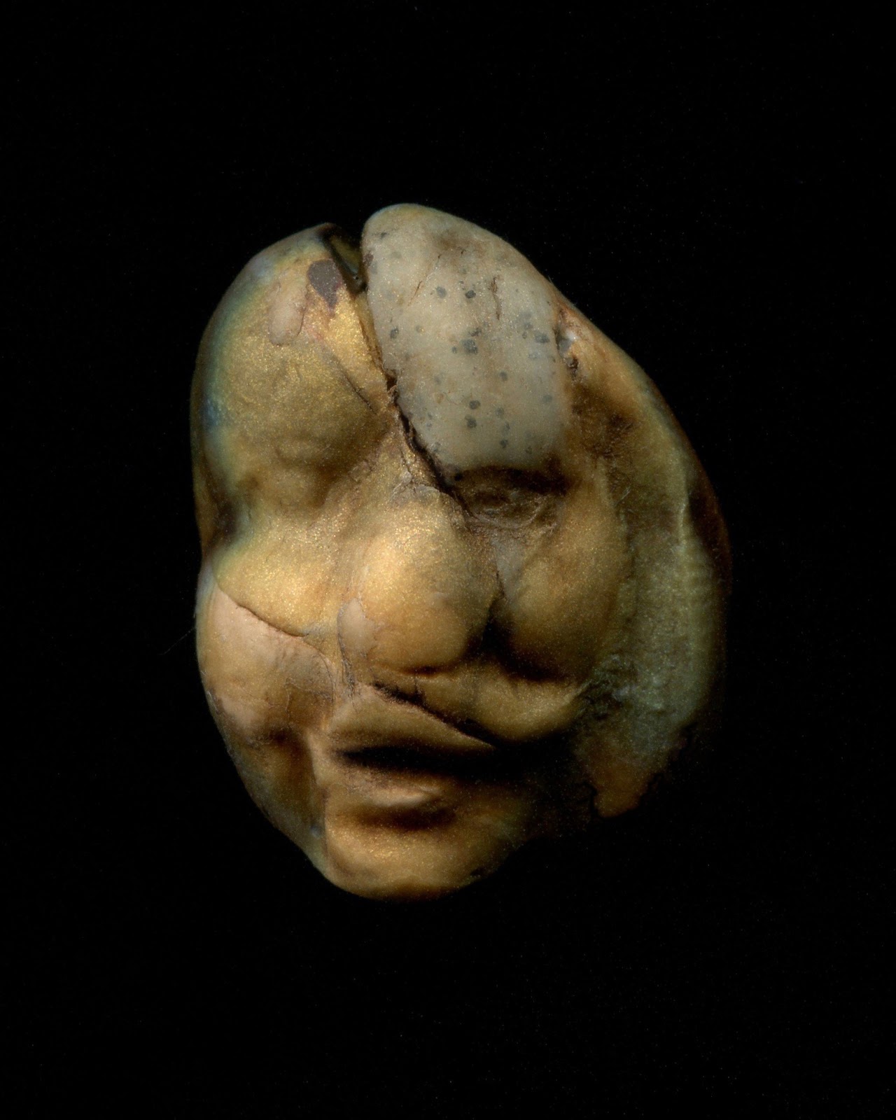 Hidden Missives: Mudge