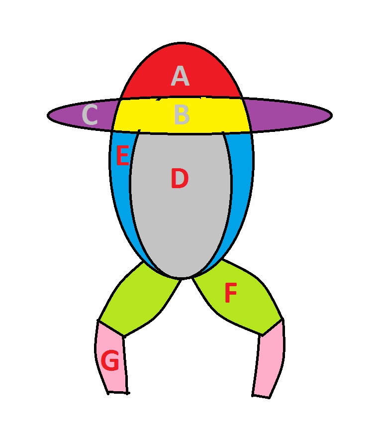 Satria buah: Saccus Lymphaticus Subcutaneus