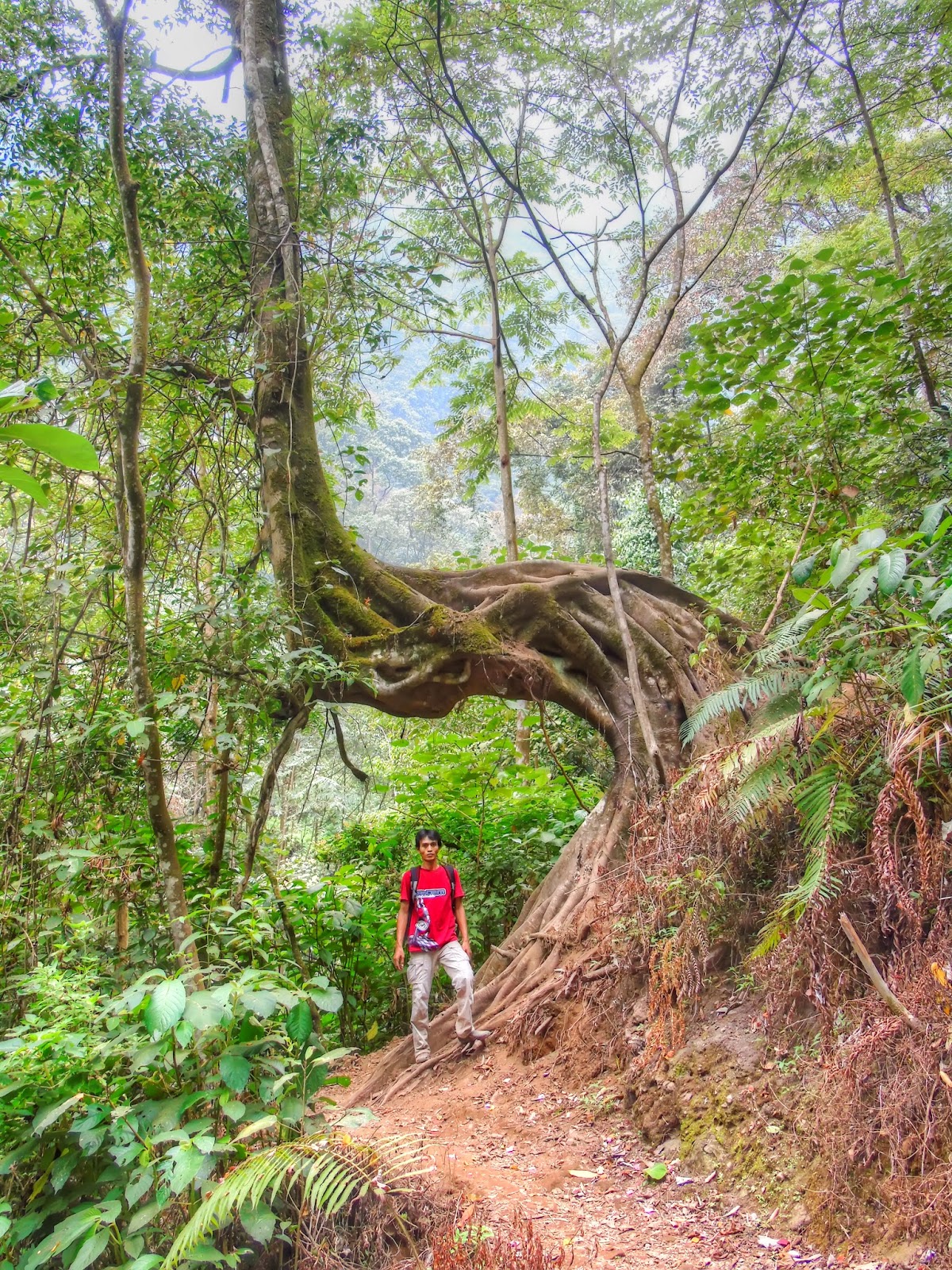 My Trip: Air Terjun Tretes - Wonosalam - Jombang