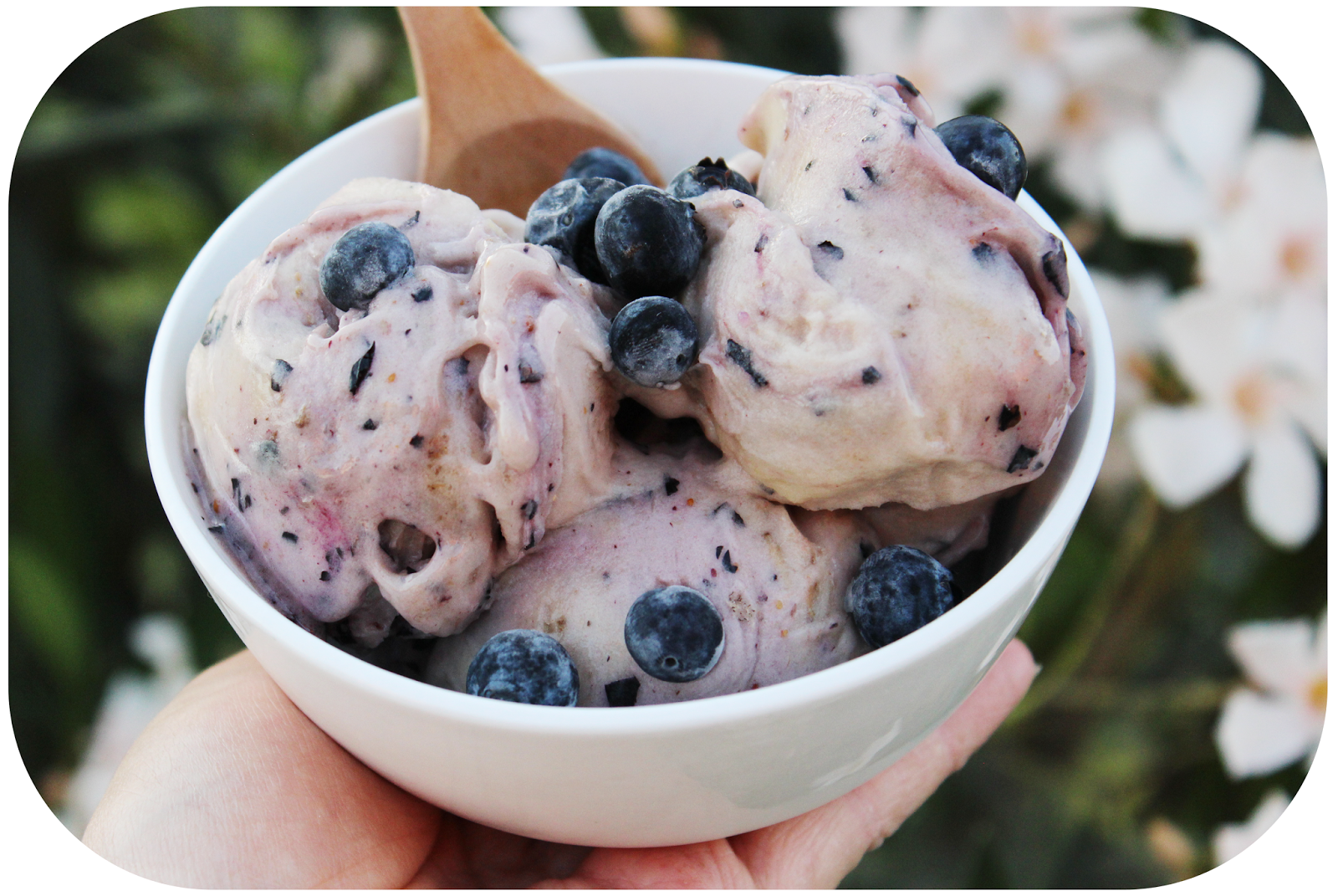 Helados de Fruta y Tips para hacer las mejores combinaciones! / guapa ...