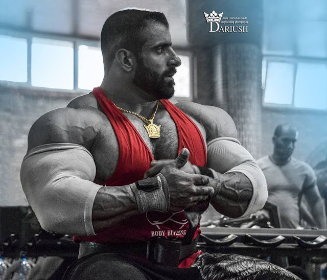 world bodybuilders pictures: iranian bodybuilder Hadi Choopan