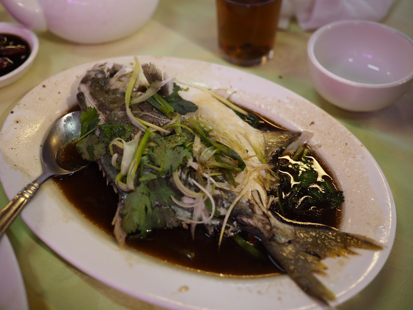 Travelogue: High Island Reservoir East Dam, Sai Kung, Hong Kong - XINLINNN