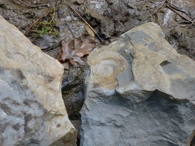 Water and Art - Wading in Deeper: Severn Estuary - Beachley Point and ...