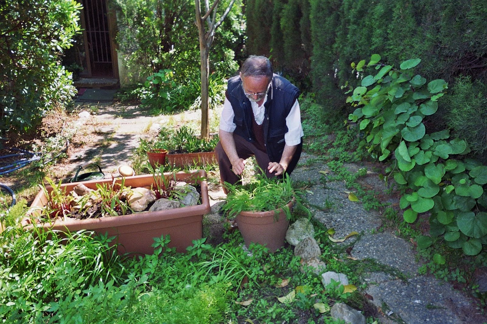 Nuestros huertos y jardines...: Maceto-huerto, cuidados especiales