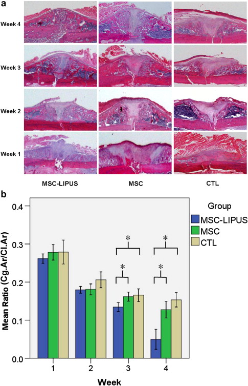 The Quest for Height: Grow Taller | Increase Height | Bone Size: Grow ...