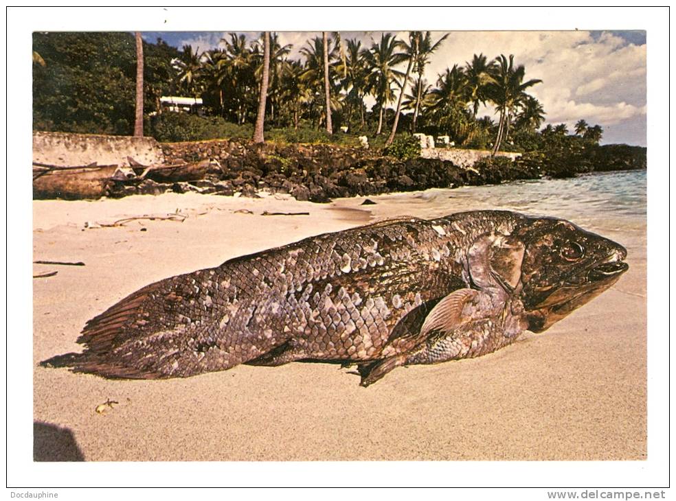 TOURISME AUX COMORES | HabarizaComores.com | Toute l'actualité des Comores