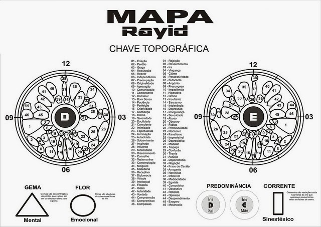 ESPAÇO TERAPÊUTICO AMOR, SAÚDE E VIDA: CIÊNCIA DA IRIDOLOGIA