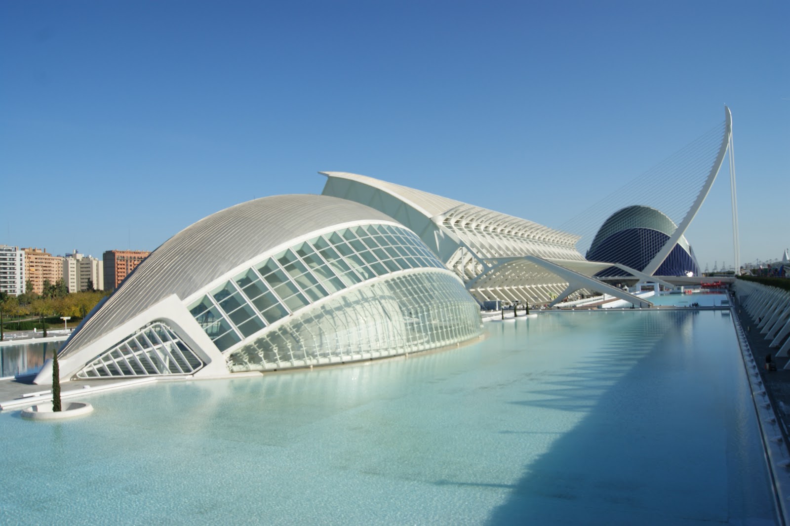 Valencia - Città della scienza - Turisti A Ogni Costo