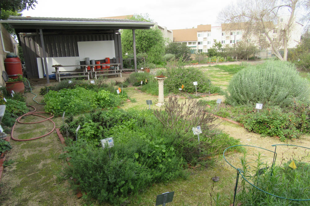 Mother Nature's Backyard - A Water-wise Garden: Current Photos of ...