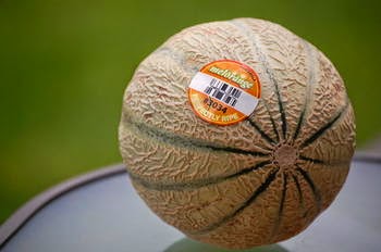 abril 2014 | República Amorosa