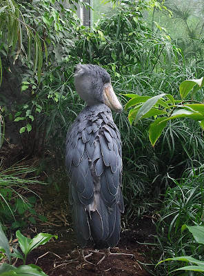 pan-Aves: září 2011