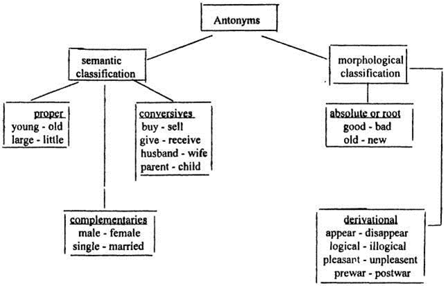 Antonyms and their classification.