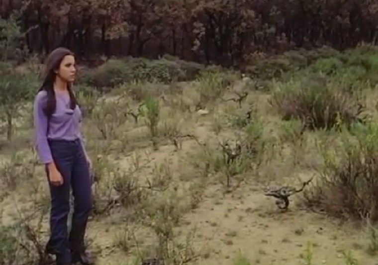 The Bloody Pit of Horror: Morbo (1972)