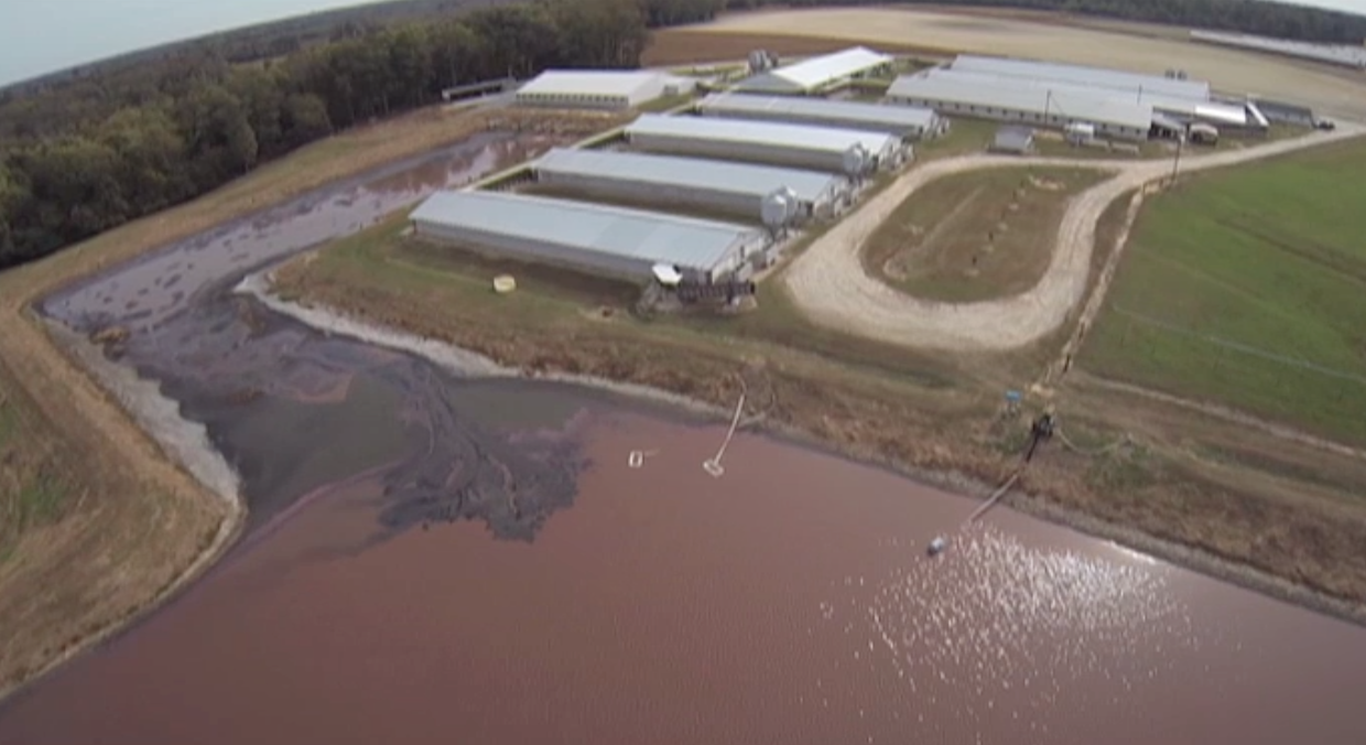 MEC&F Expert Engineers : Water, air quality concerns heighten conflict ...