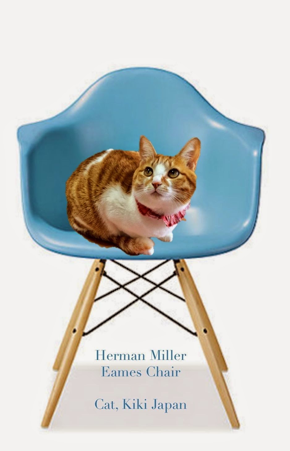 CAT ON BLUE EAMES CHAIR