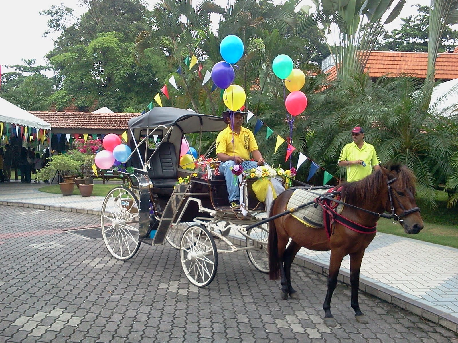 Event DirecTus: Carriage Rides for Product Launches, Property Launches ...